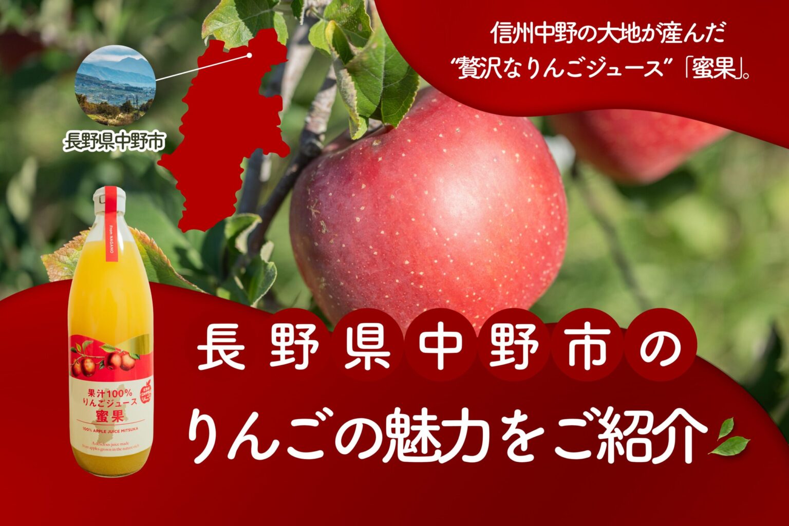 ハシモトマサヨシ公式サイト